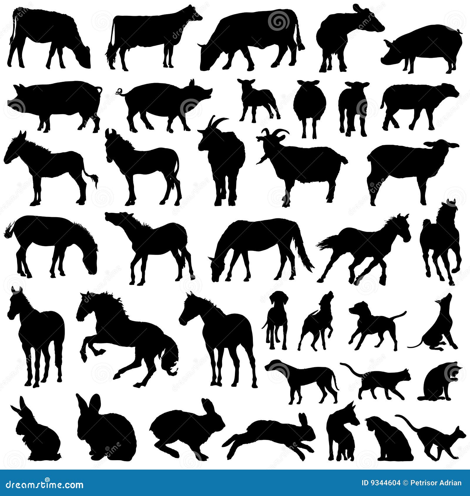 Adrian Petrisor Dreamstime Clipart