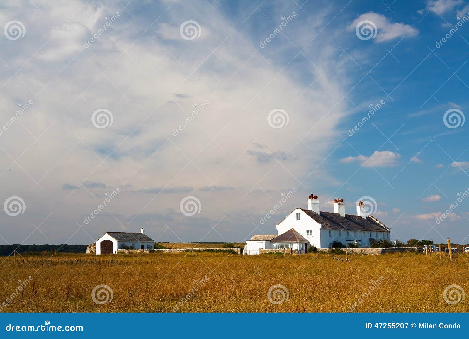 Farm in Dorset, UK. stock image. Image of kingdom, dorset - 47255207