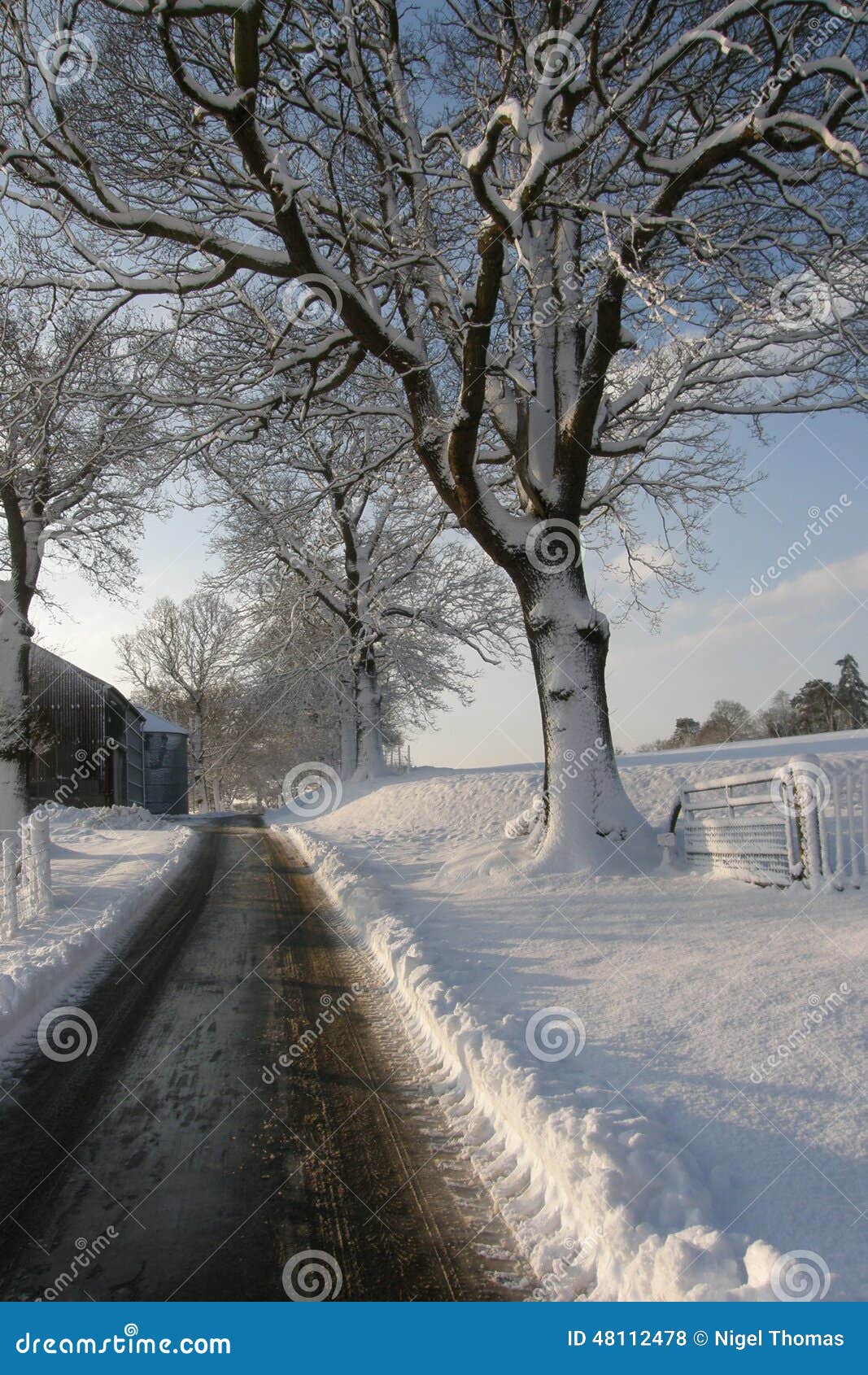 Farm Drive stock photo. Image of farm, grain, snow, gate - 48112478