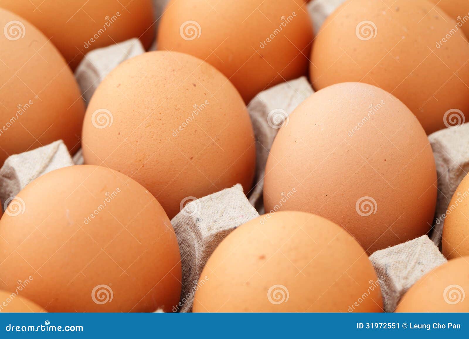 Farm egg close up stock image. Image of farmed, chicken - 31972551