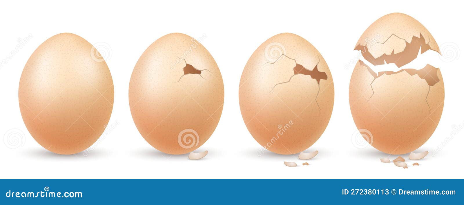 Farm Eggs Realistic Concept Stock Vector - Illustration of rustic ...