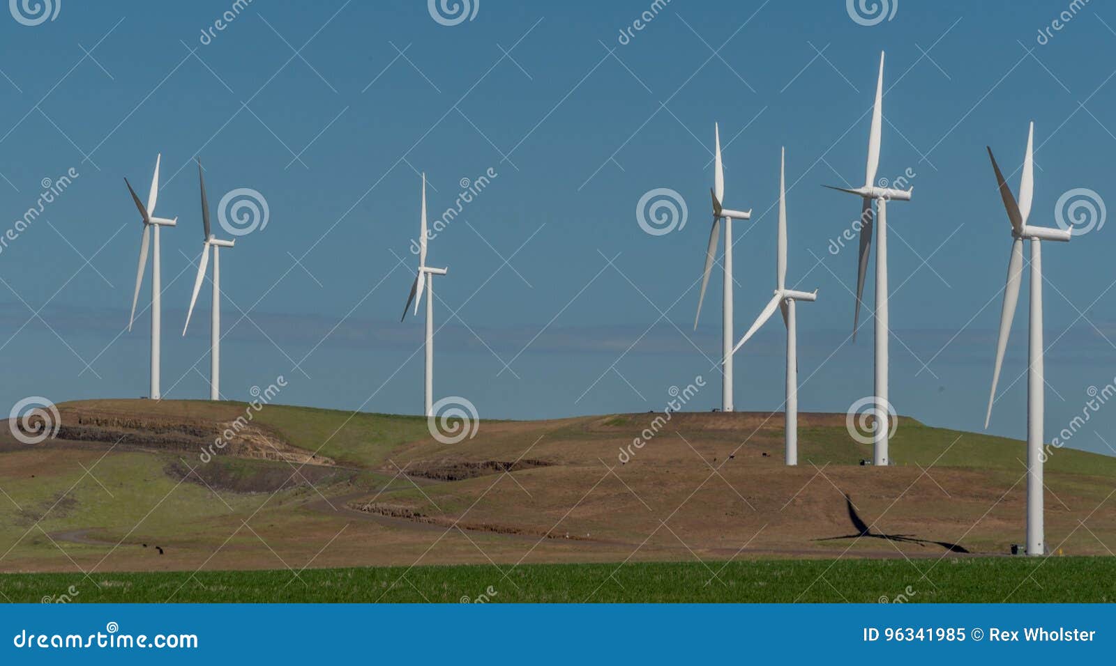 Farm of Electricity-generating Wind Turbines in Eastern Washington ...