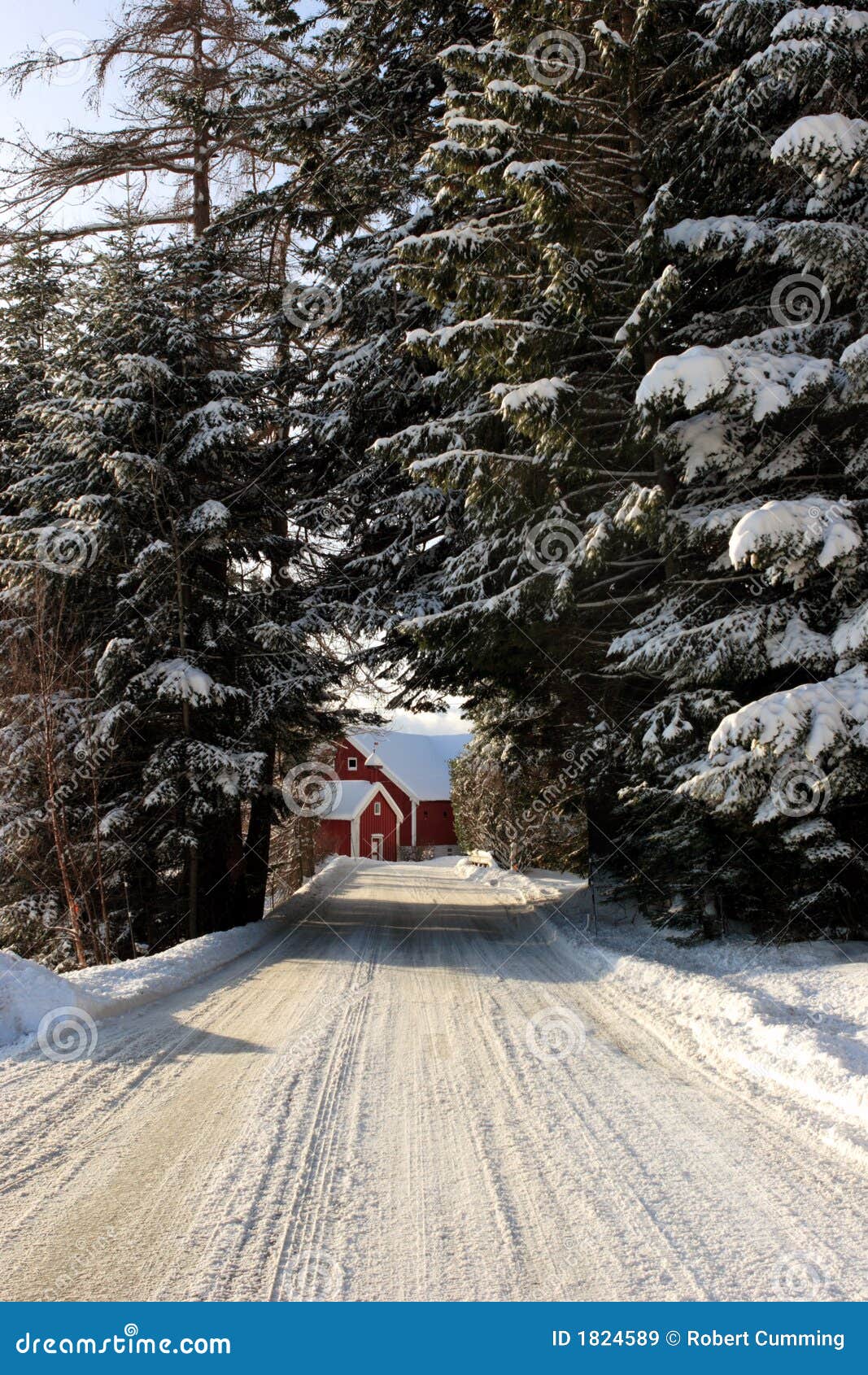 Farm at the End of a Snowy Road Stock Image - Image of pine, frosty ...