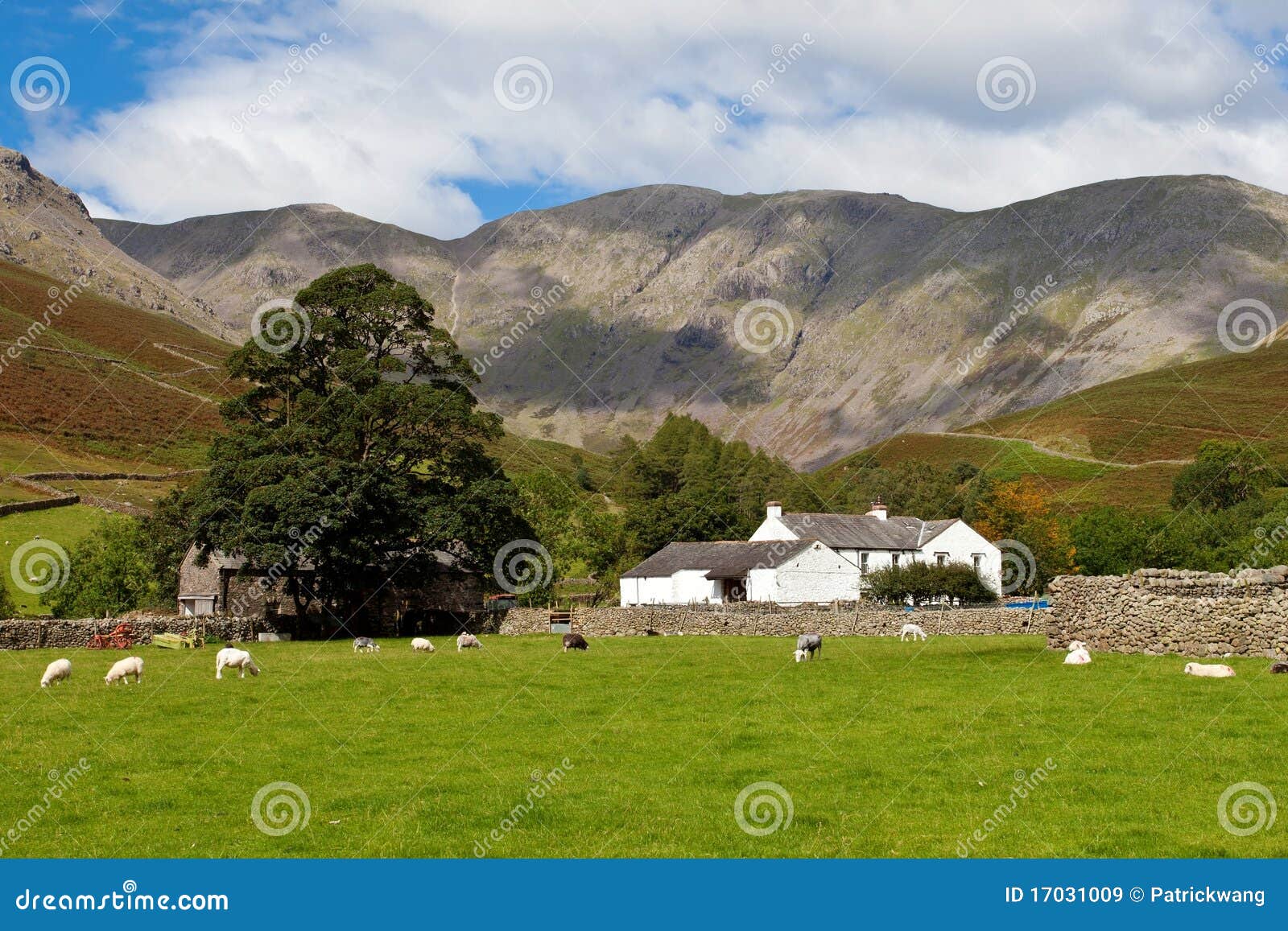 Farm in England stock image. Image of english, countryside - 17031009