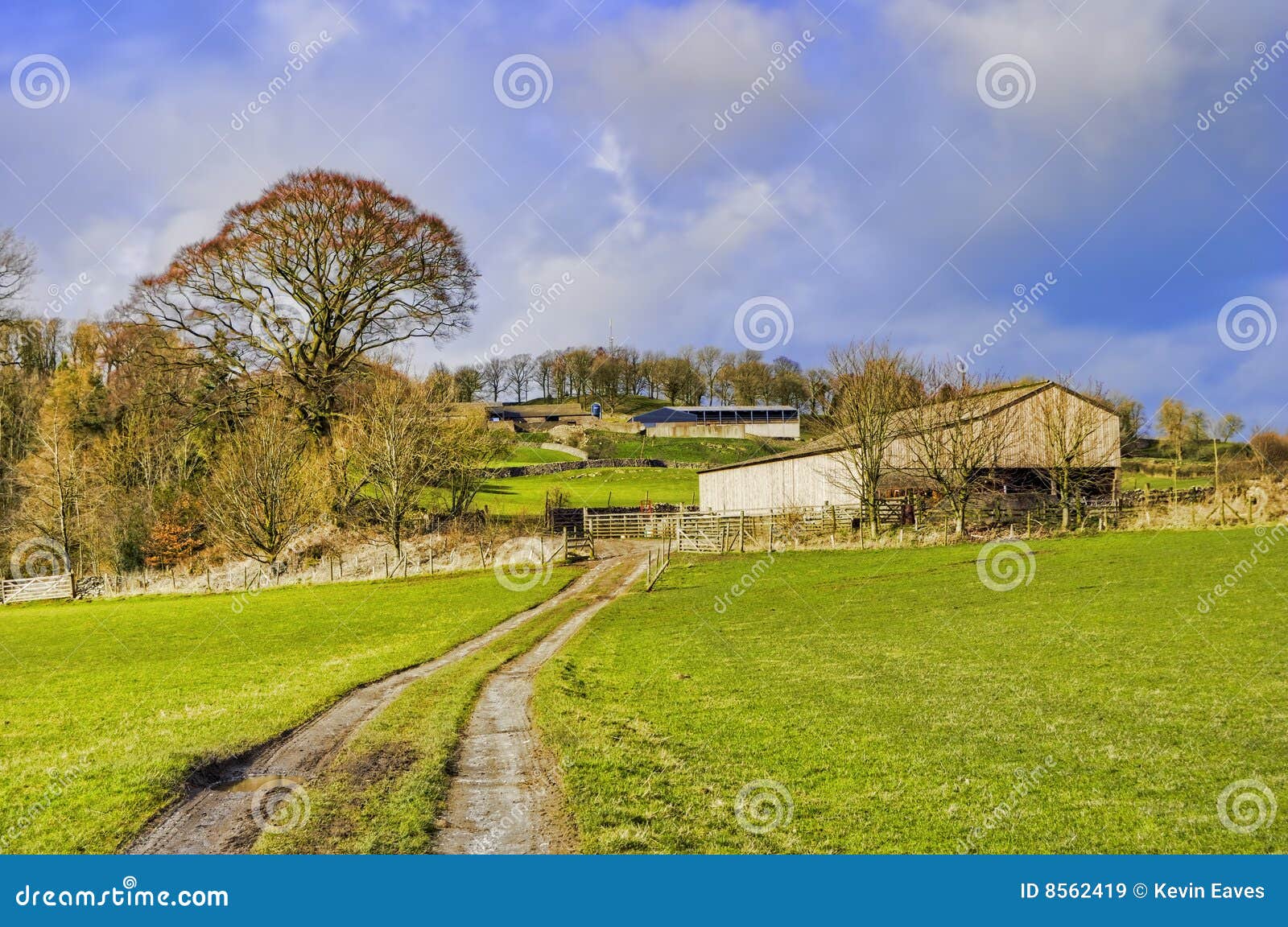 Farm in English Countryside Stock Image - Image of trees, receding: 8562419