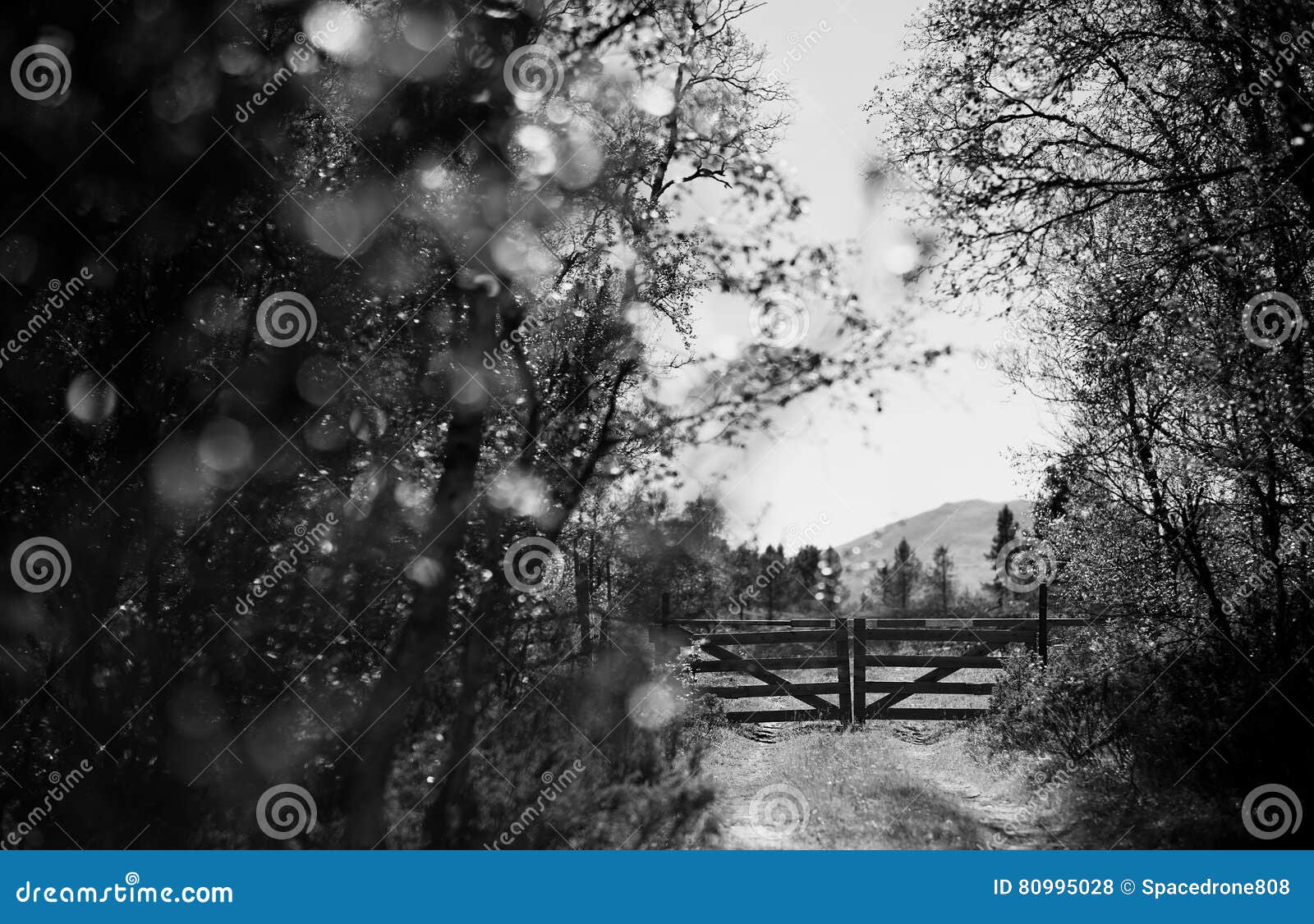 Farm Entrance Gate Landscape Background Stock Photo - Image of ...