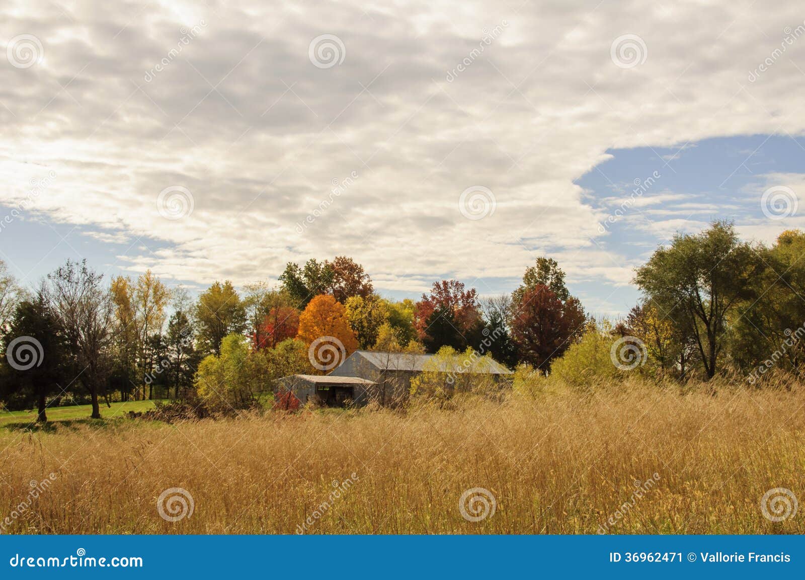 Farm in late Autumn stock image. Image of property, colors - 36962471