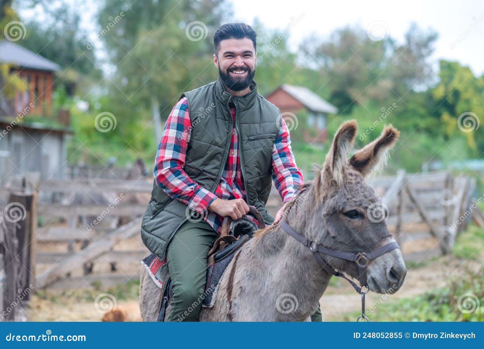 A Farmer Sitting on a Donkey on a Farm Stock Image - Image of donkey ...