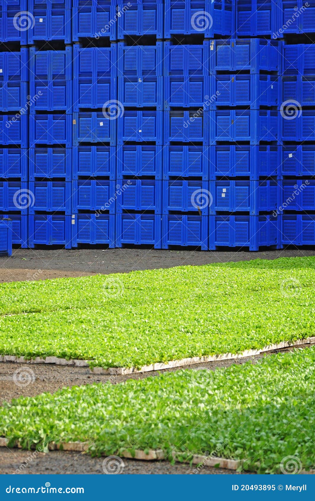 Farm farming stock image. Image of plants, light, crates - 20493895