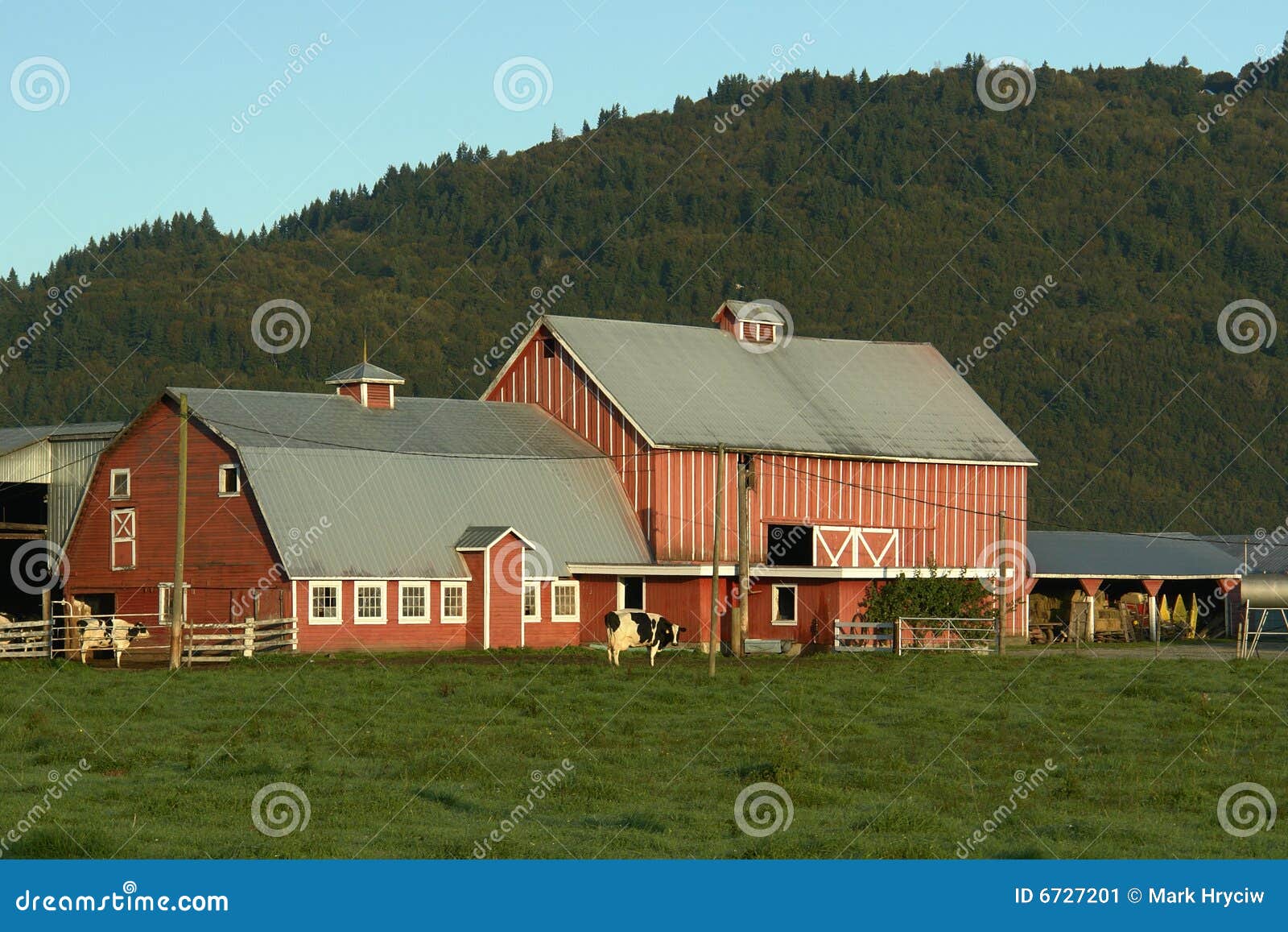 Farm Farming Red Barn stock image. Image of fraser, country - 6727201