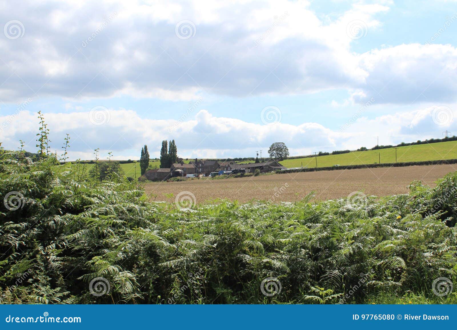 Farm in farmland landscape stock photo. Image of landscape - 97765080