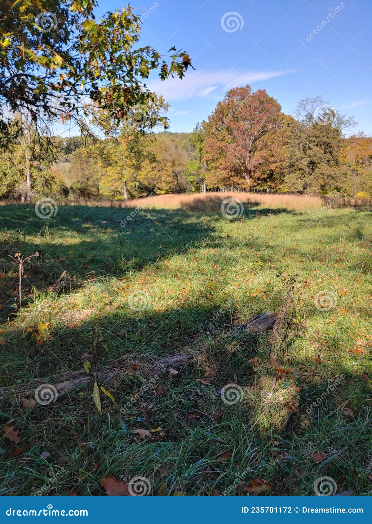 Farm Feild Fall stock photo. Image of vegetation, woodland - 235701172