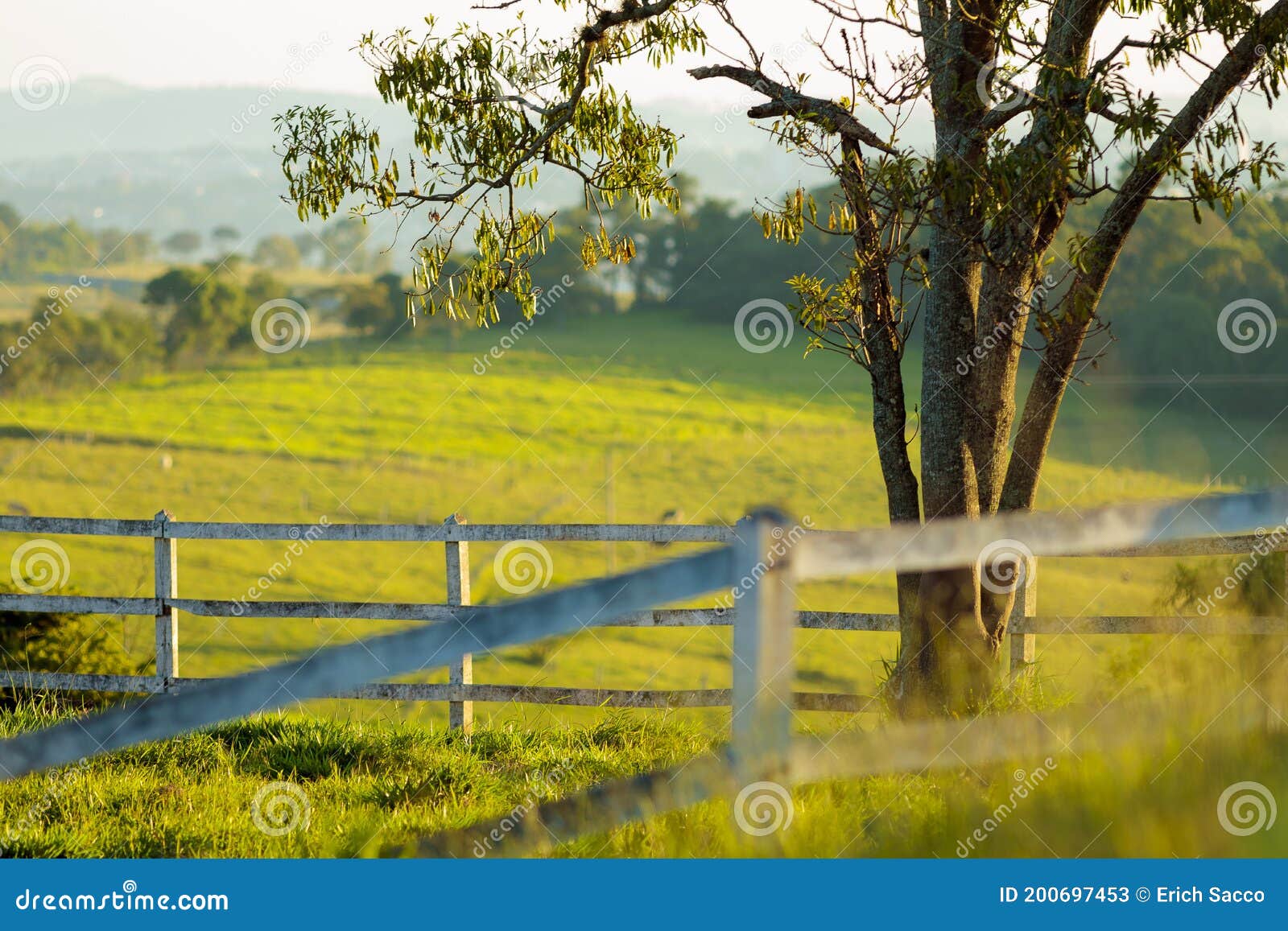 Farm Fence on a Beautiful Sunset Stock Image - Image of green, leaf ...