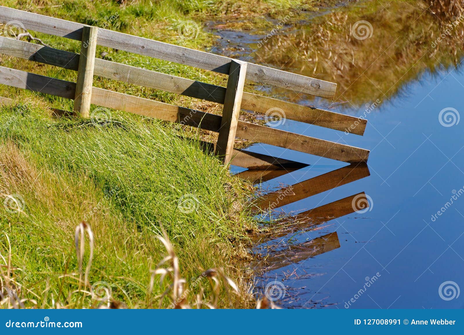 Farm Fence Reaching into the Water Stock Image - Image of rail ...