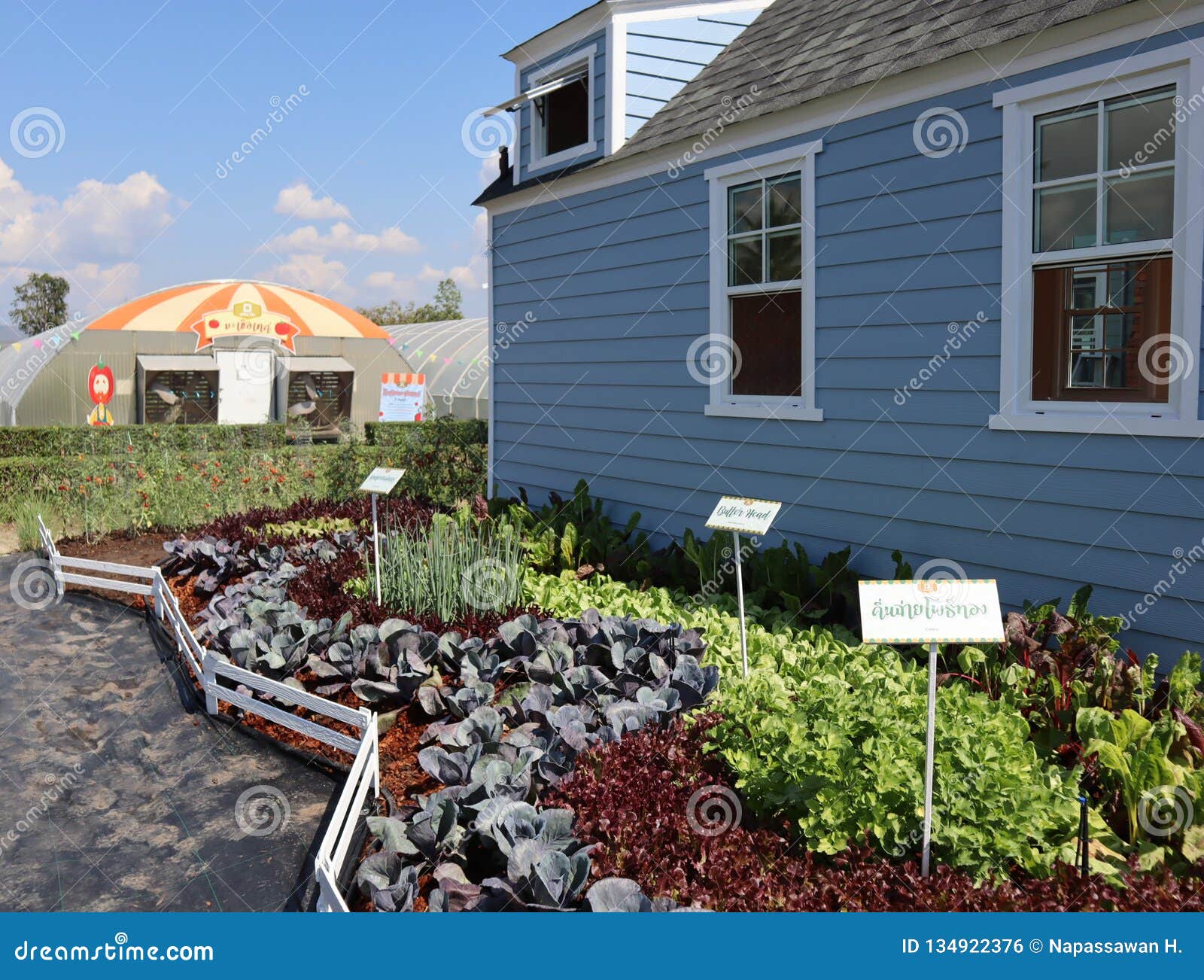 Small farm stock photo. Image of farm, small, house - 134922376