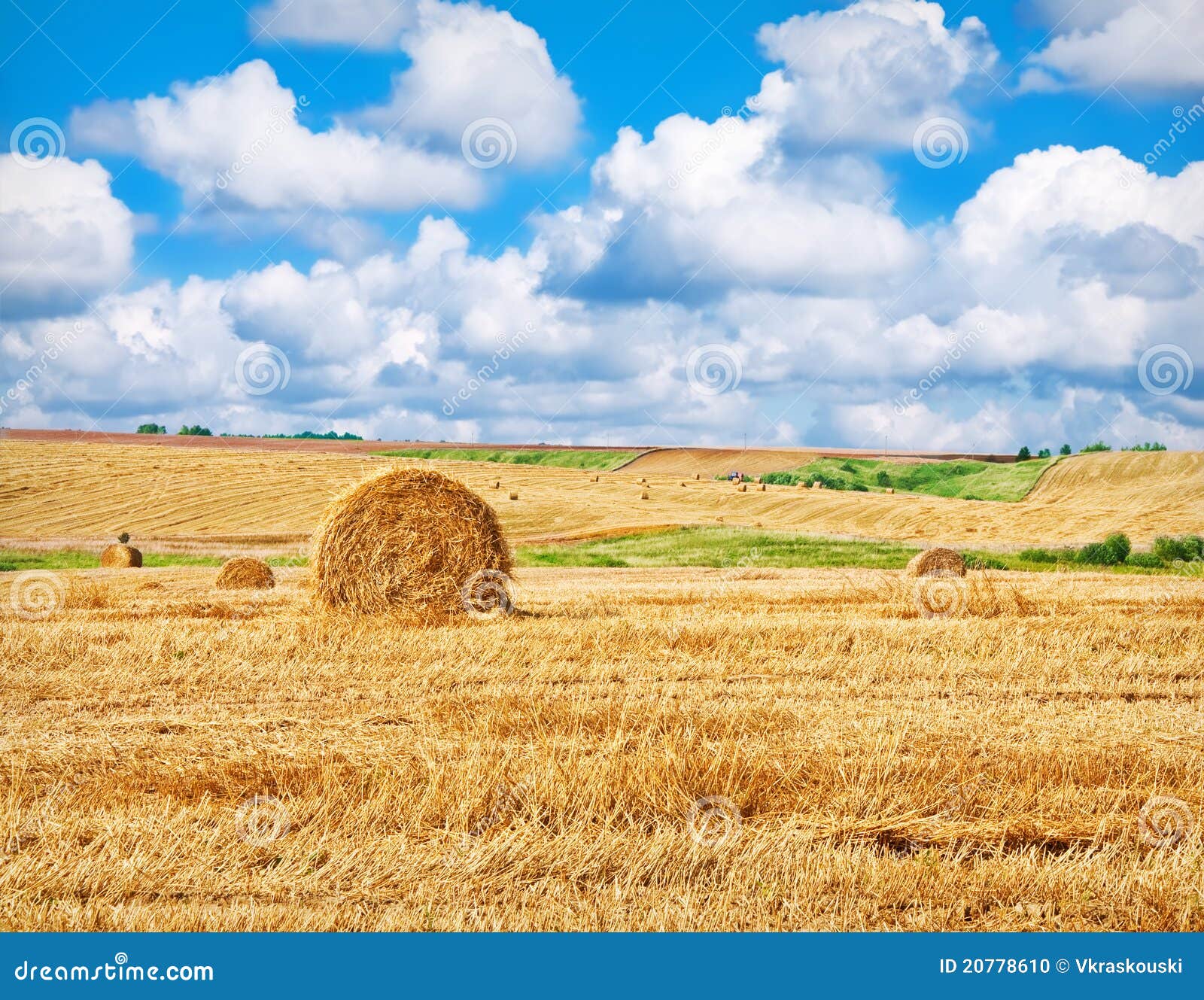 1,421 Gathered Crops Photos - Free & Royalty-Free Stock Photos from ...