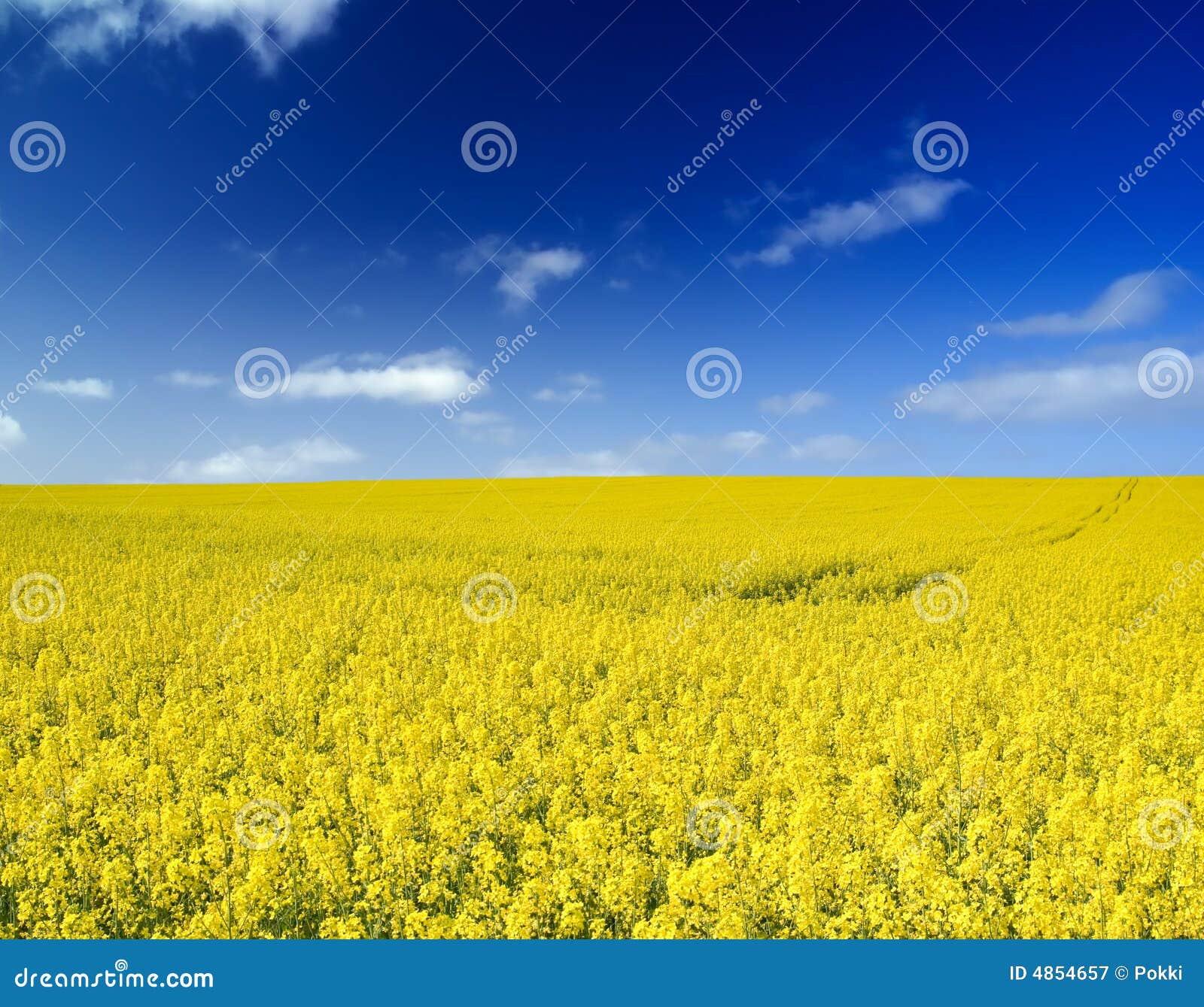 Farm field. stock image. Image of clouds, field, beauty - 4854657