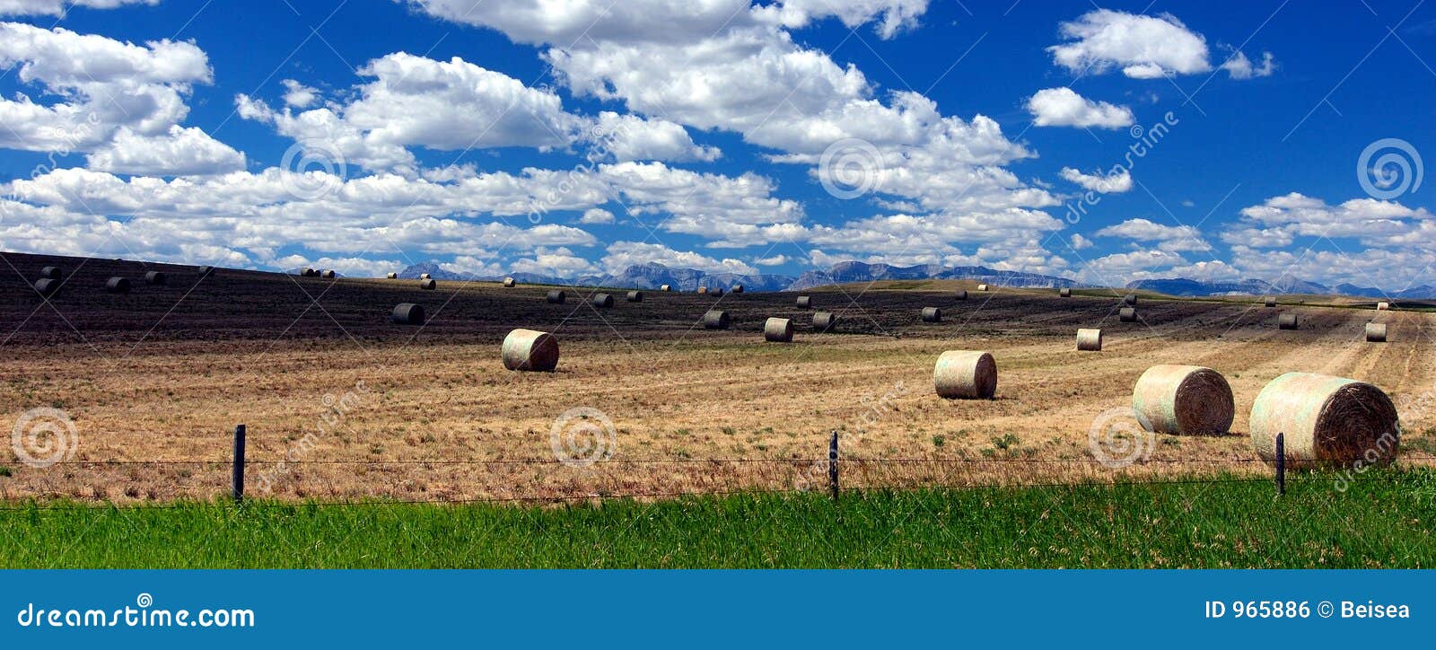 Farm Field stock photo. Image of mountain, vast, field - 965886
