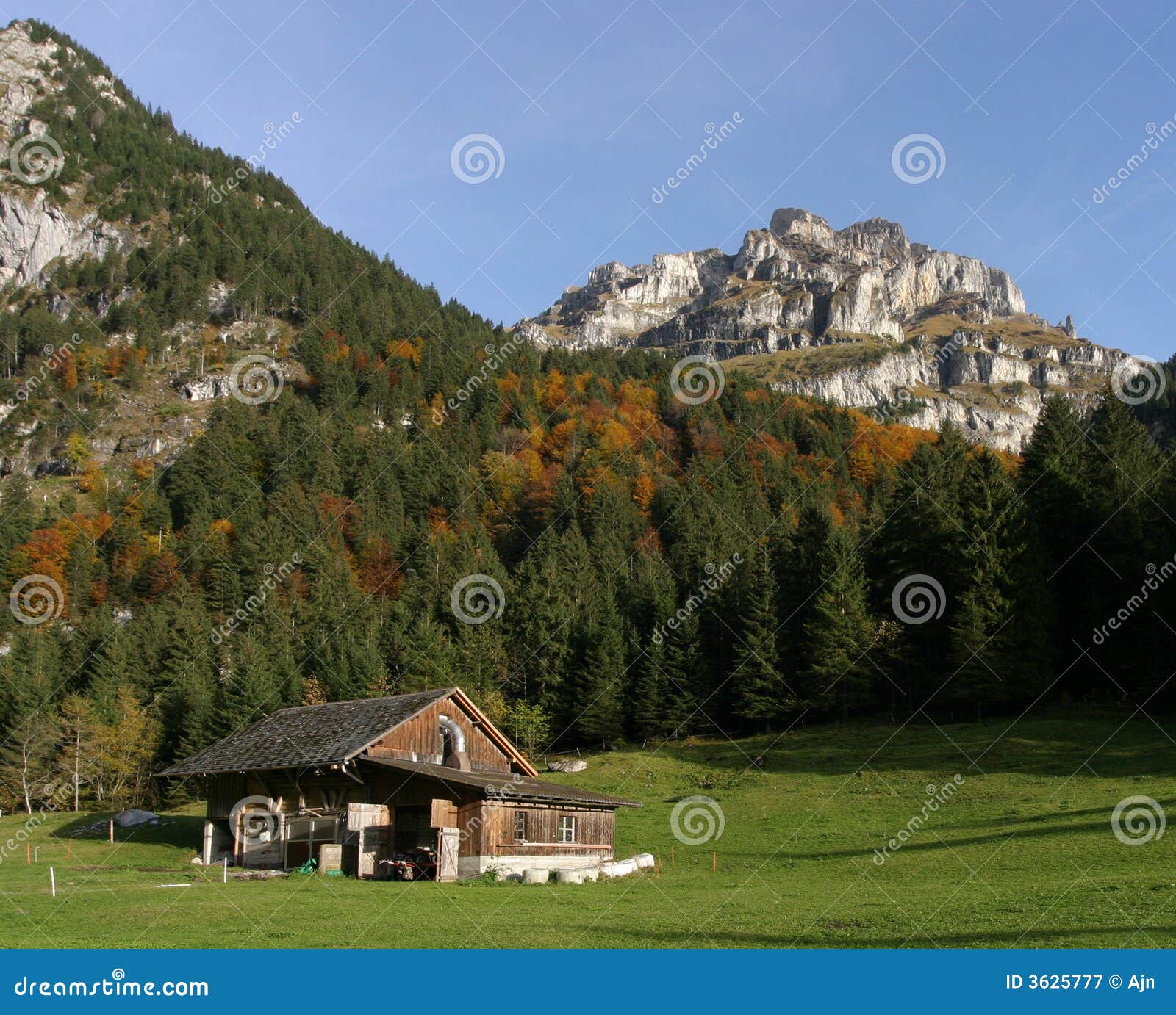 Farm Field in the Alps stock image. Image of farmland - 3625777