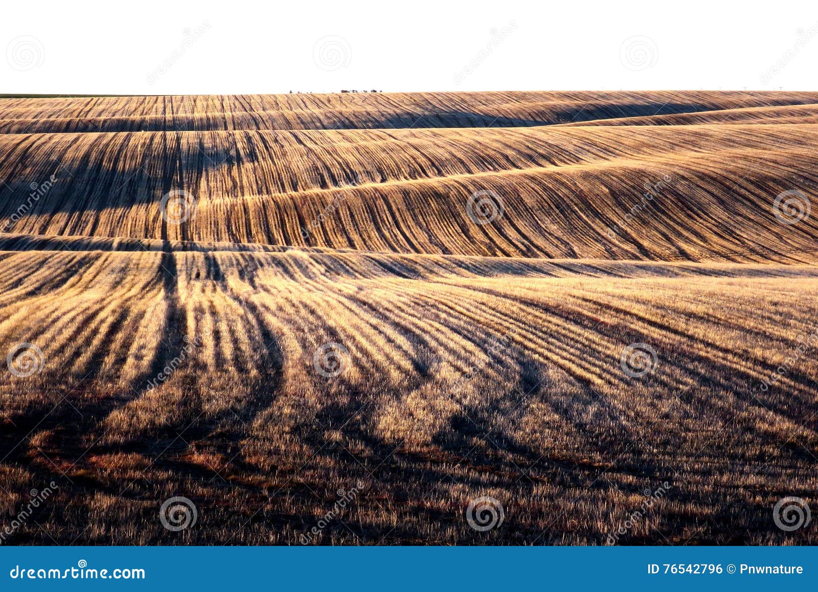 Farm Field at Dusk stock photo. Image of shadows, dusk - 76542796