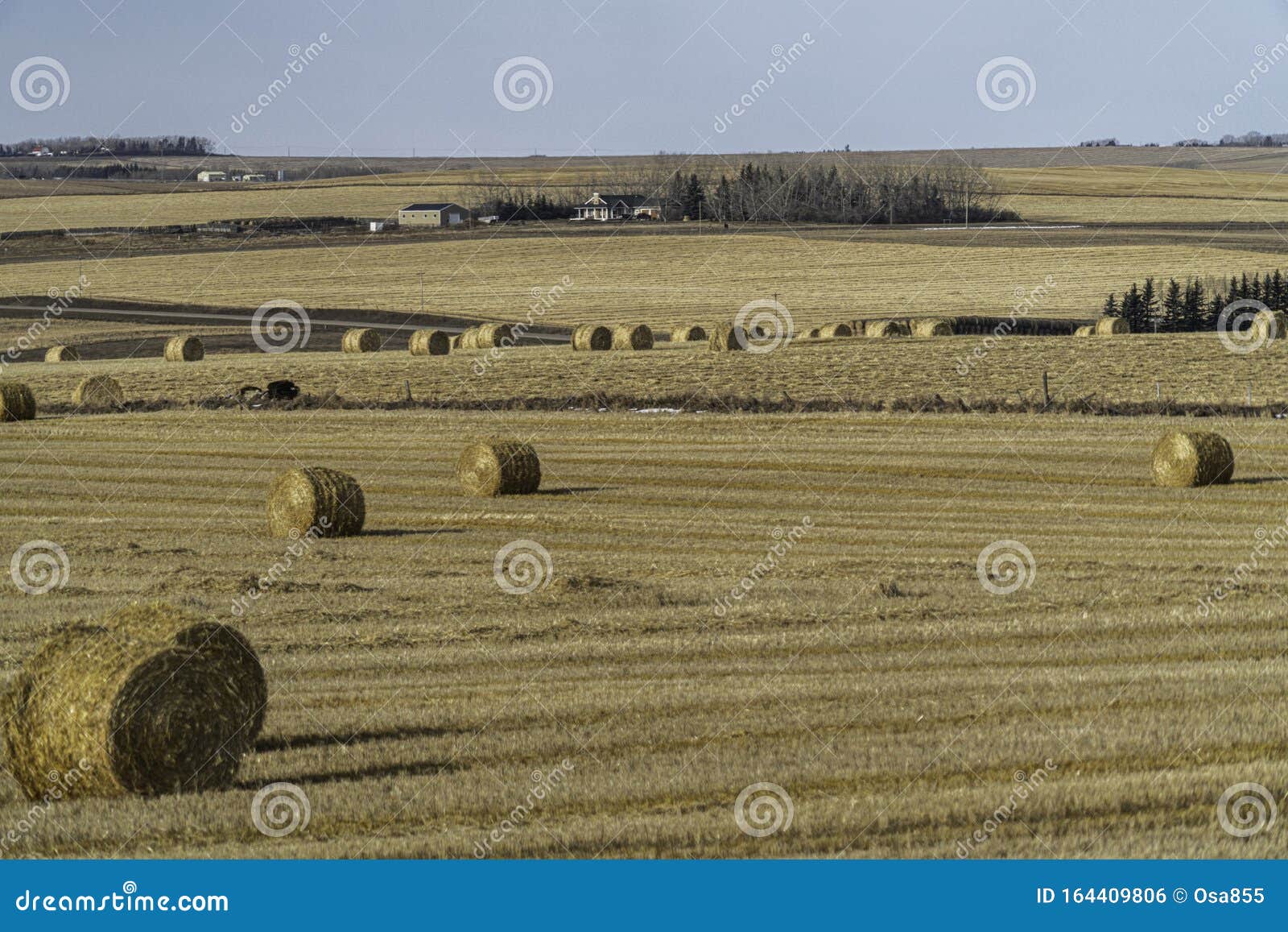 A Farm Field in Fall with Bales of Hay after the Harvest Stock Photo ...