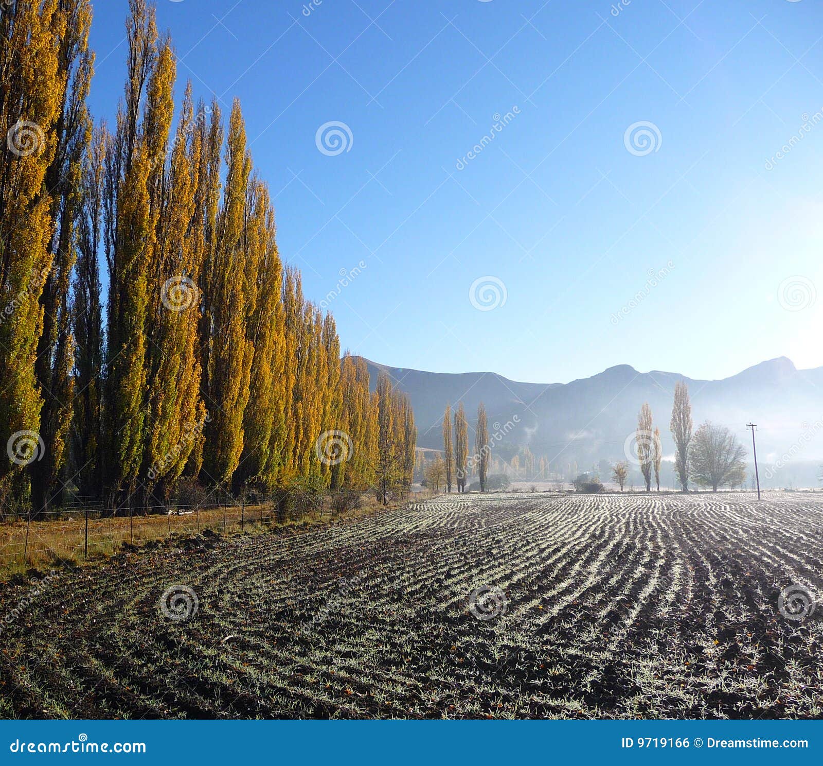 Farm field furrows stock photo. Image of earth, season - 9719166
