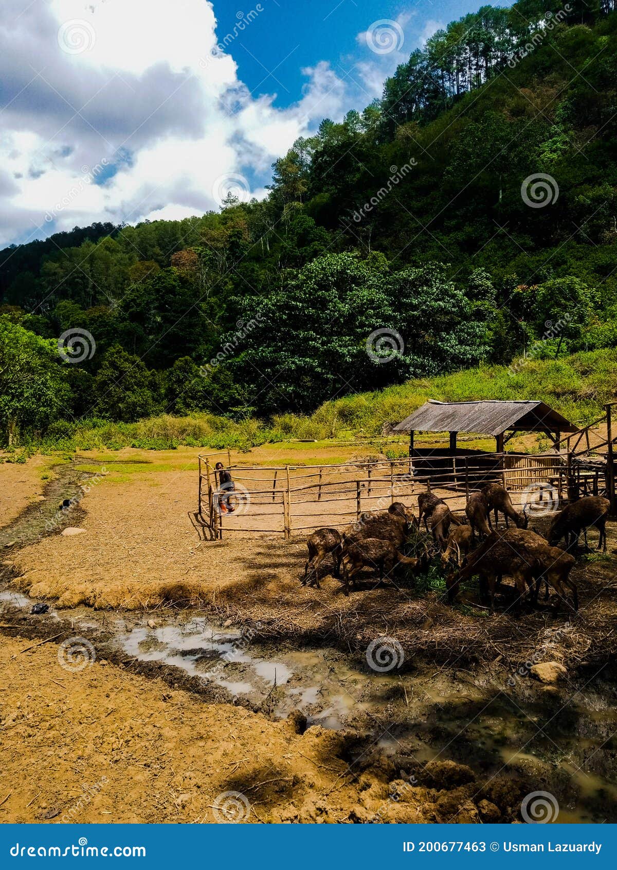 Farm field garden editorial stock photo. Image of hill - 200677463