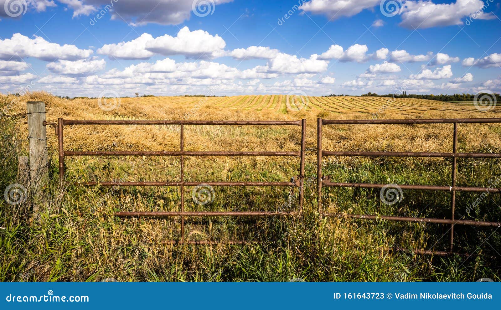 Farm field gate stock image. Image of fall, swathing - 161643723