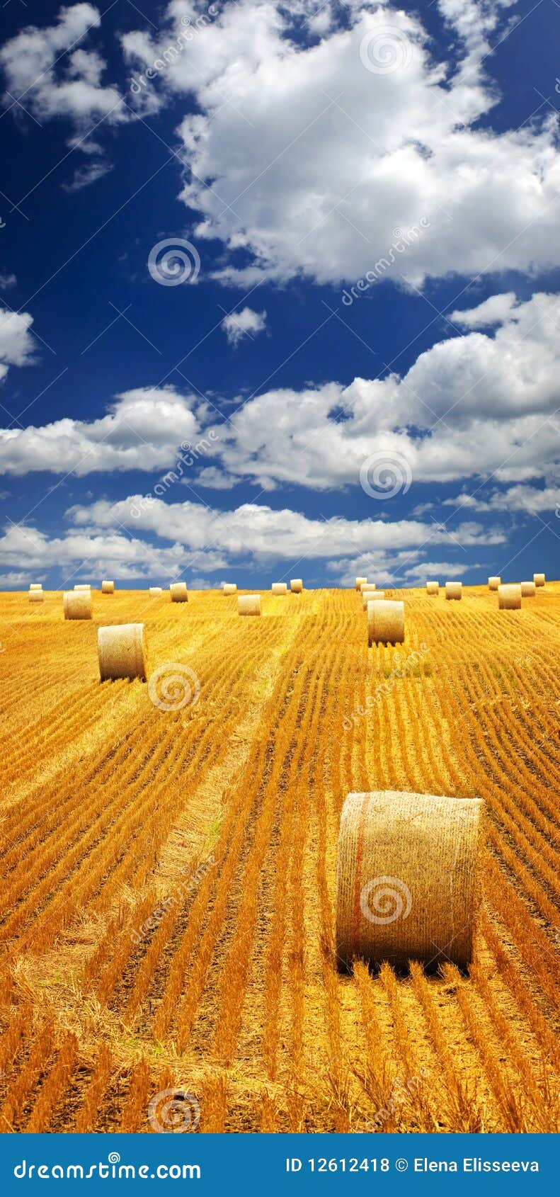 Farm field with hay bales stock photo. Image of clouds - 12612418