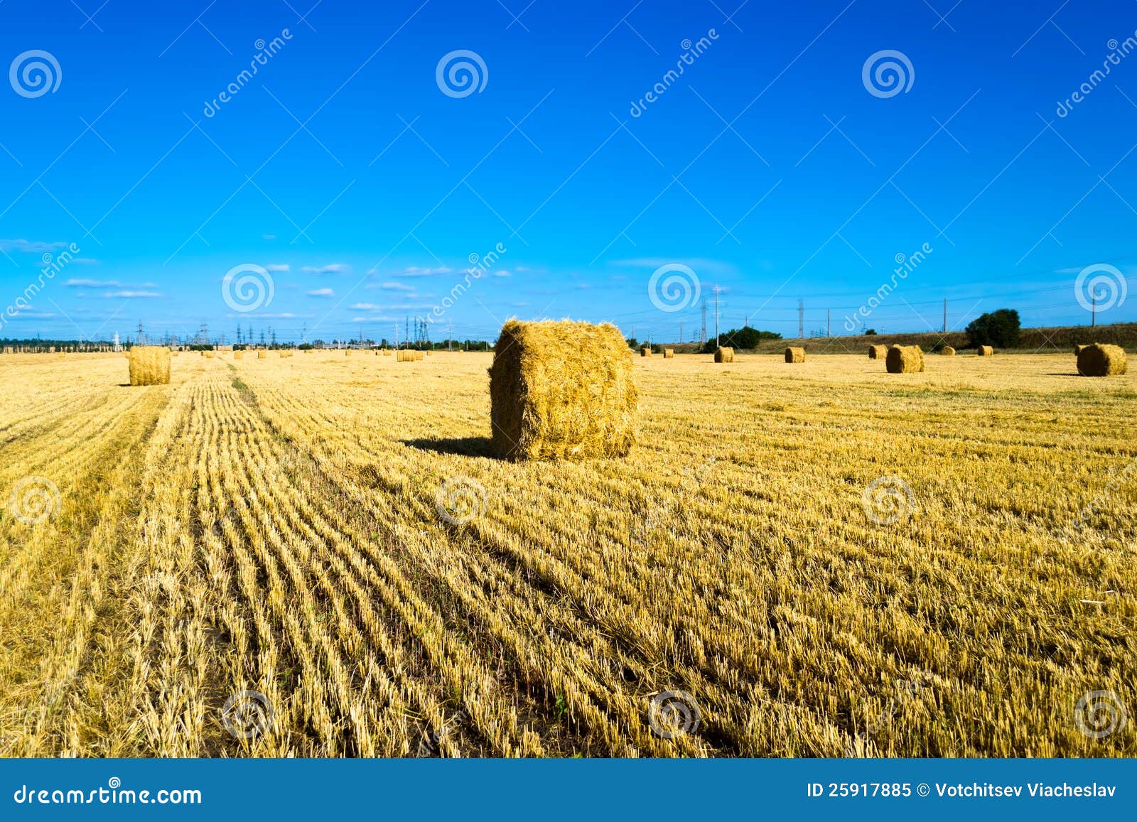 Farm field with hay bales stock image. Image of nature - 25917885