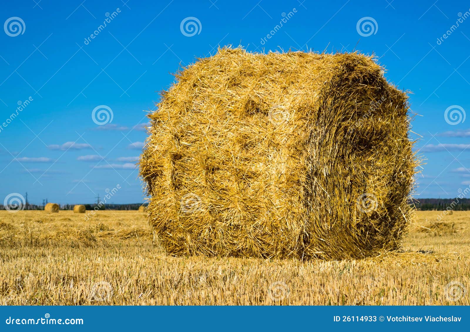 Farm field with hay bales stock image. Image of nature - 26114933