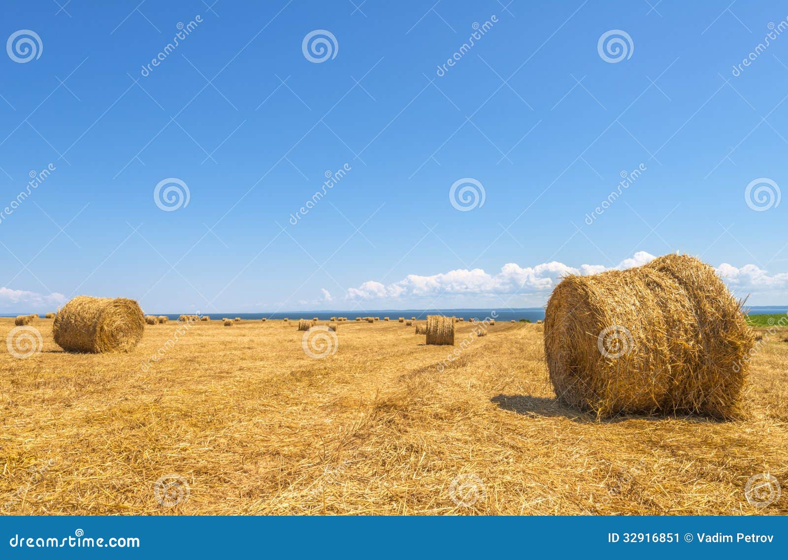 Farm field with hay bales stock image. Image of harvest - 32916851