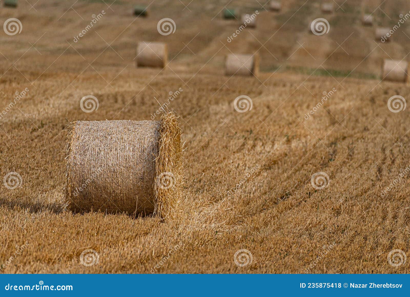 Farm Field Haystack Agriculture Landscape. Haystack Harvest Landscape ...