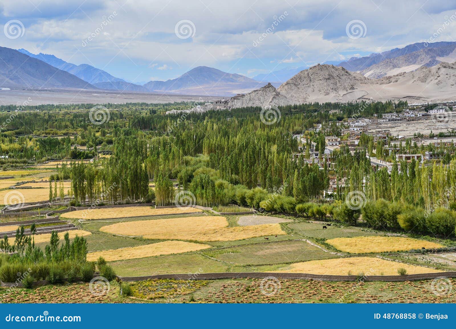 Farm field in India stock photo. Image of landscape, nature - 48768858