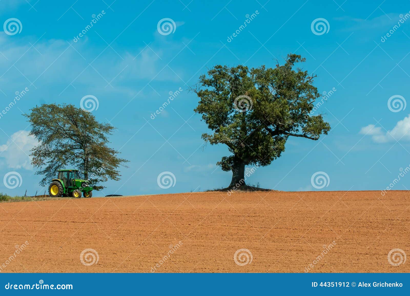 Farm field with lone tree stock photo. Image of environment - 44351912
