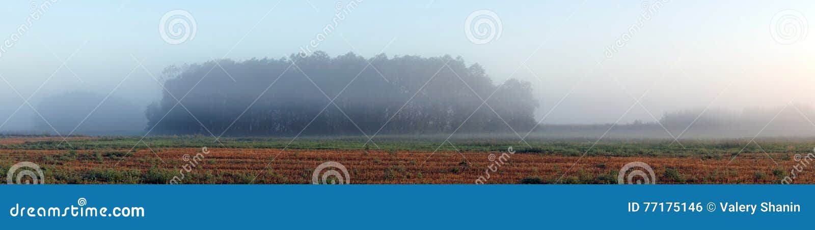 Farm field and mist stock photo. Image of poland, farm - 77175146