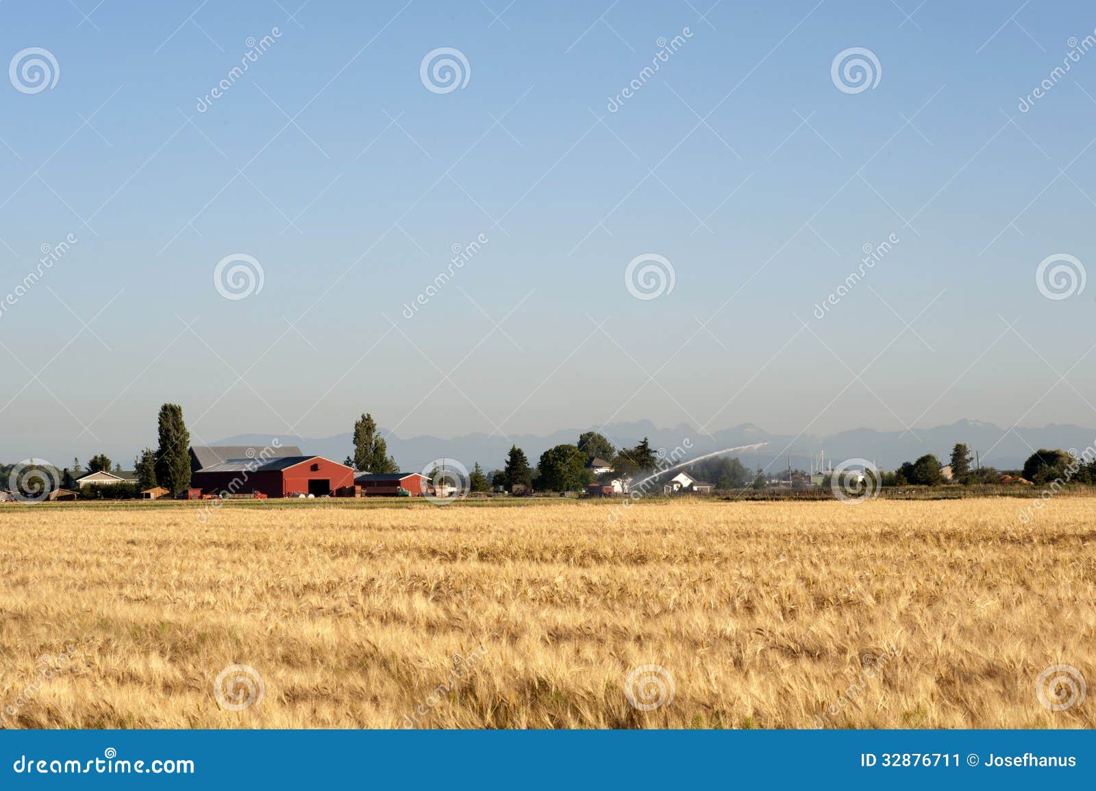 Farm and field - stock image. Image of farmland, home - 32876711