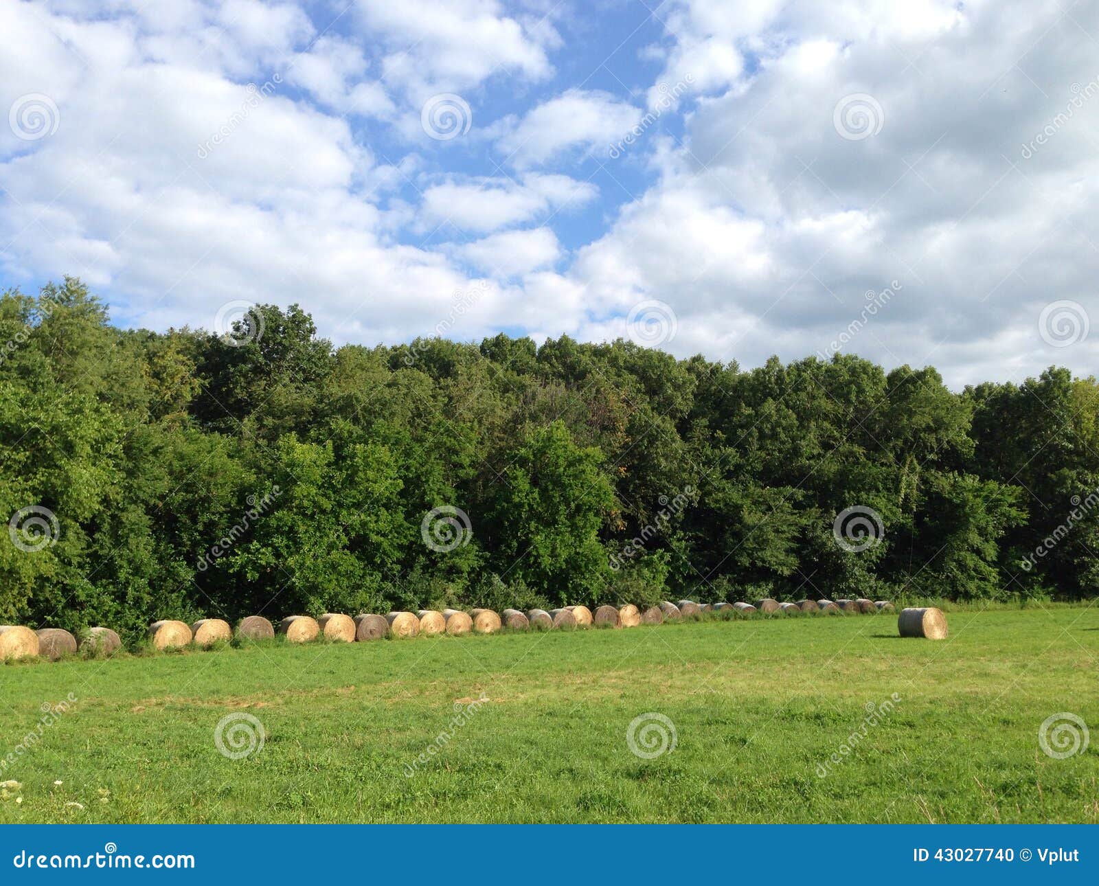 Farm Field with Rolled Hay stock photo. Image of field - 43027740