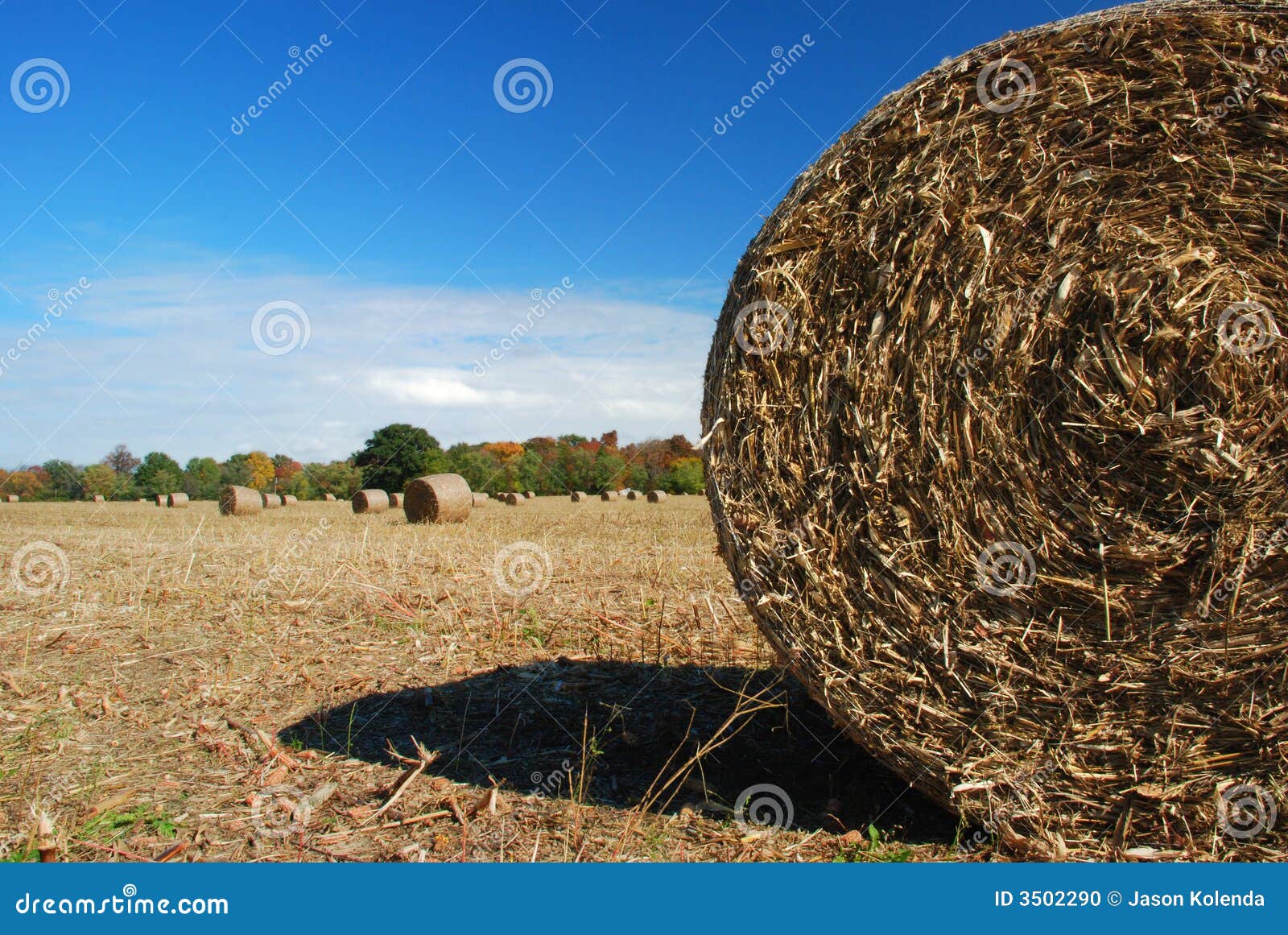 Farm Field, Round Hay Bales Stock Photo - Image of stubble, dried: 3502290