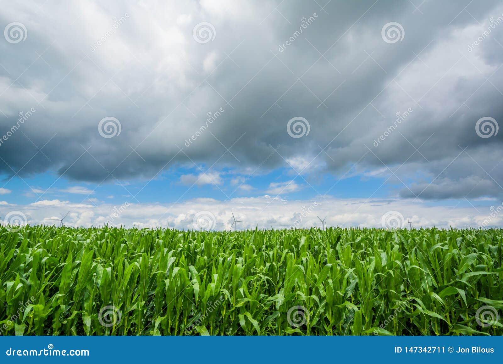 A Farm Field in Rural Indiana Stock Image - Image of colorful, indiana ...