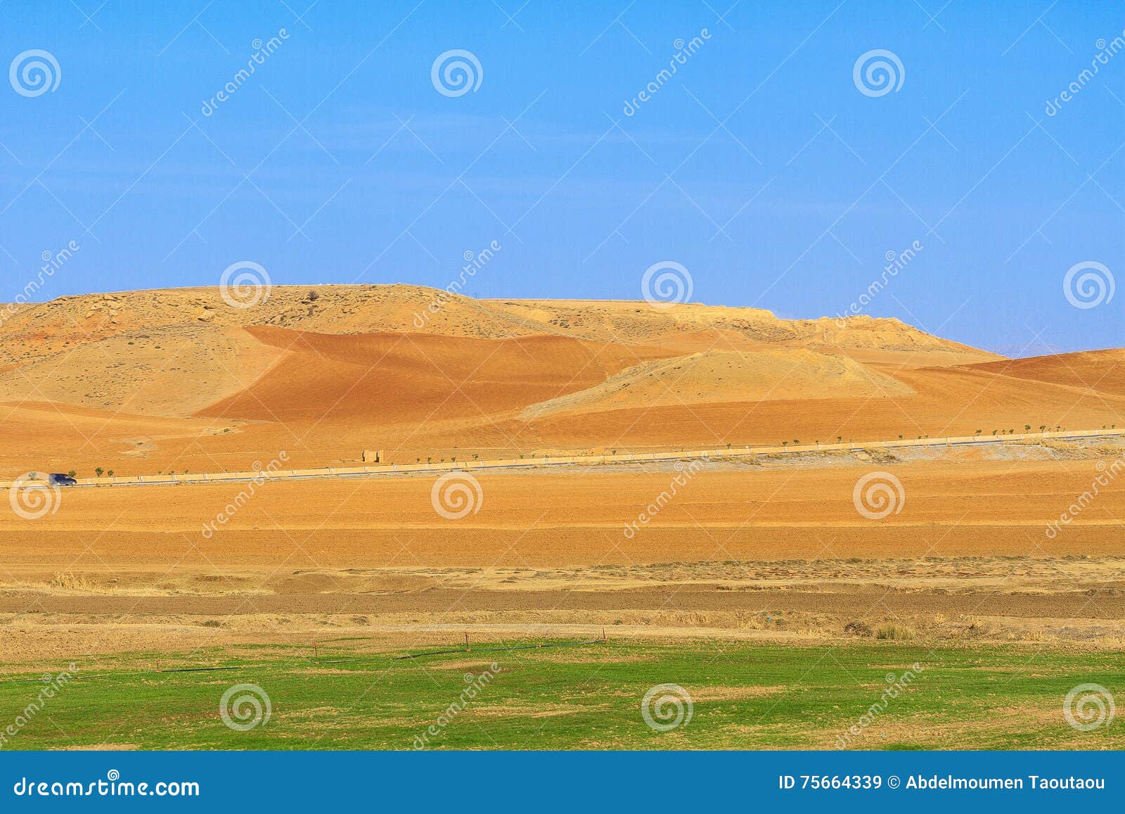 Farm stock image. Image of algerian, energy, agricultiral - 75664339