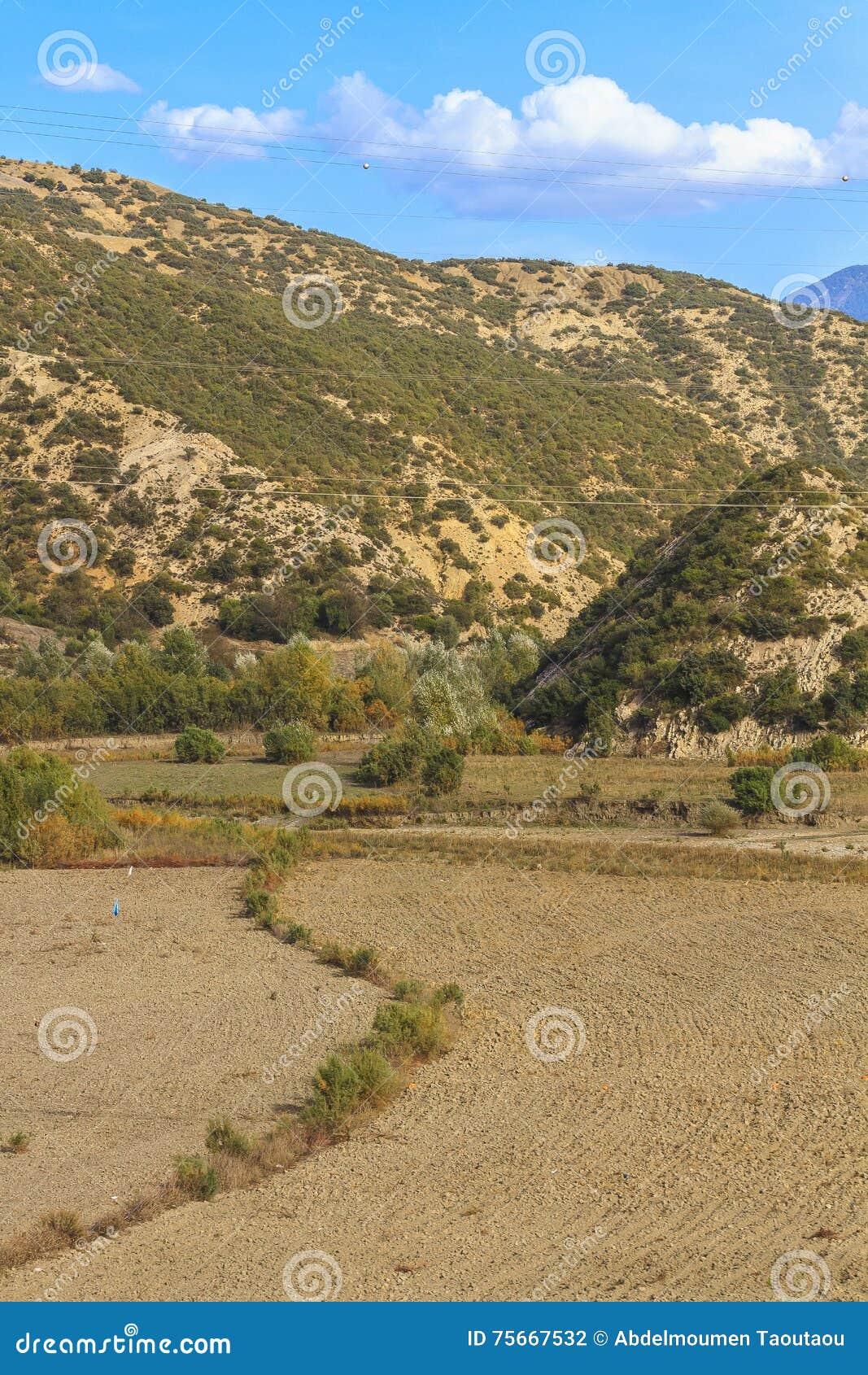 Farm stock photo. Image of agricultural, arab, algerian - 75667532