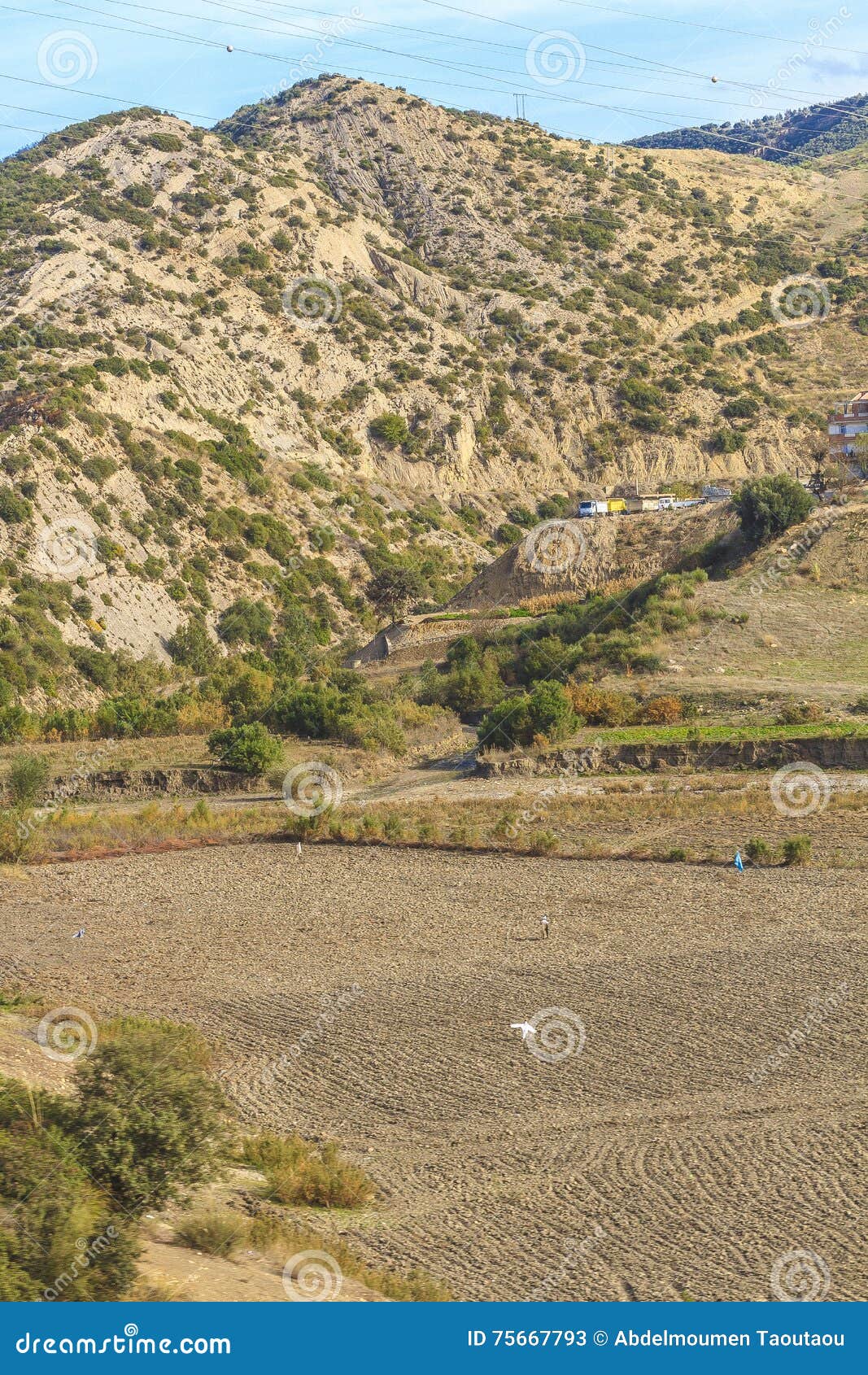 Farm stock image. Image of algeria, farm, blue, environment - 75667793