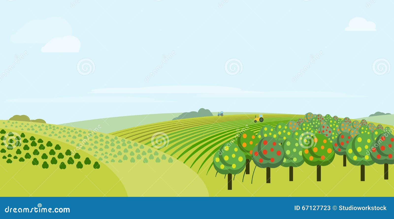 Farm Field, Vector Illustration Stock Vector - Image: 67127723