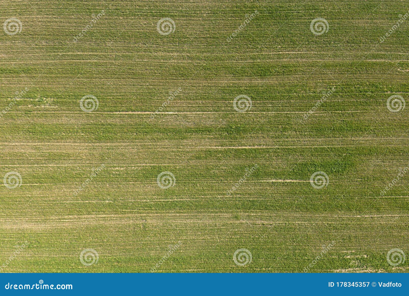 Farm Field, View from Above Stock Image - Image of countryside, green ...