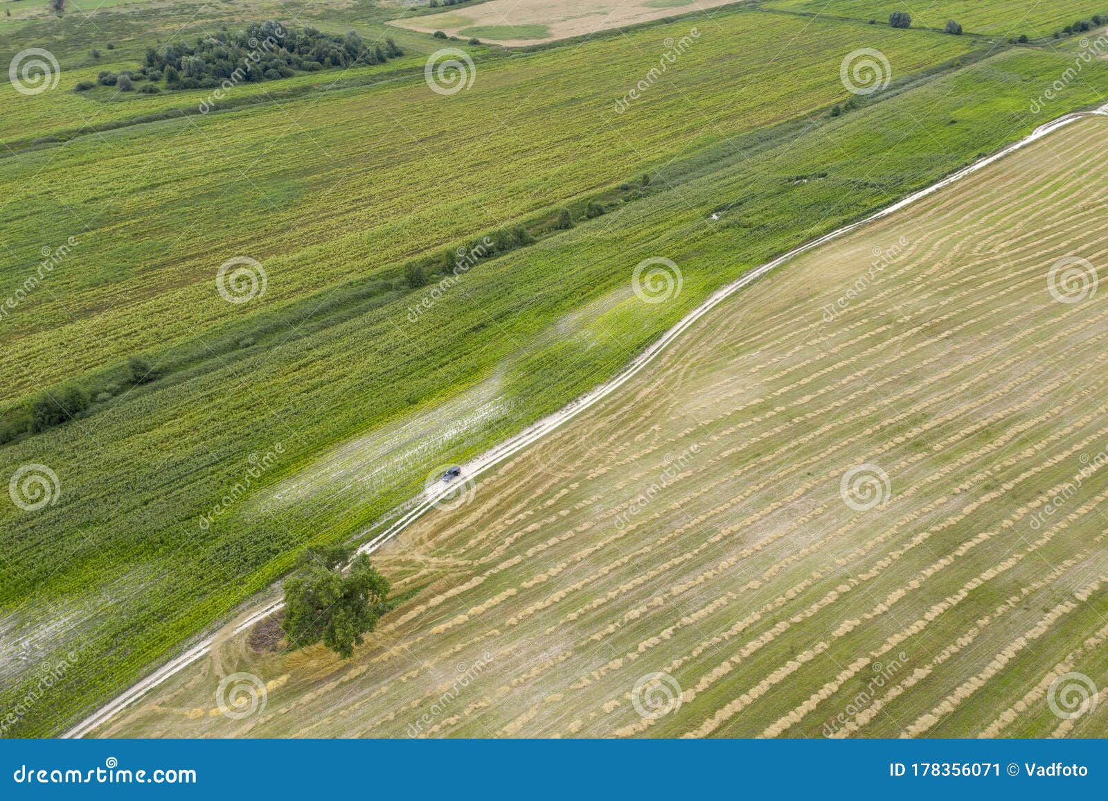 Farm Field, View from Above Stock Image - Image of growth, farming ...