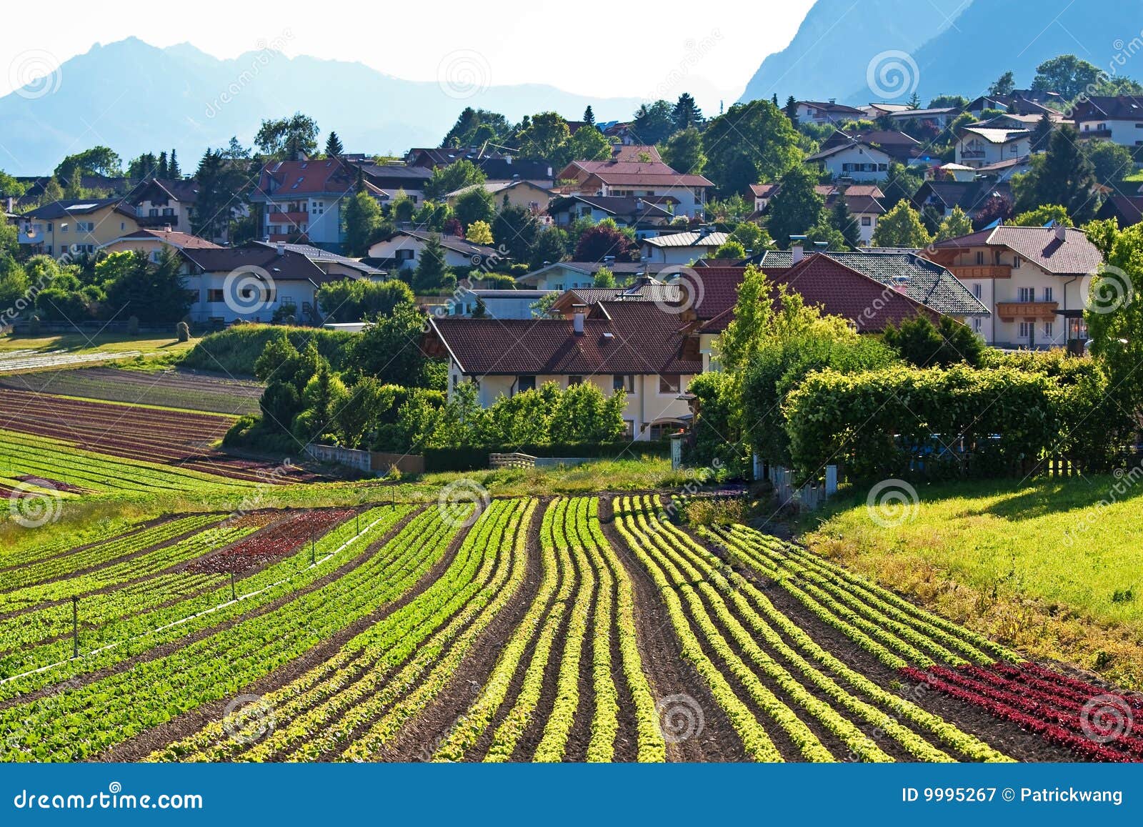 Farm Field and a Village in Austria Stock Image - Image of nature ...