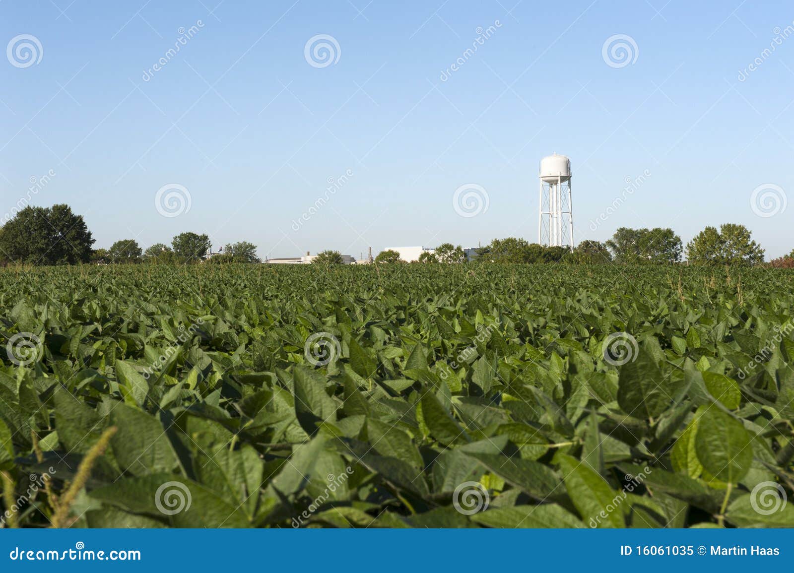 Farm field and water tower stock image. Image of farming - 16061035