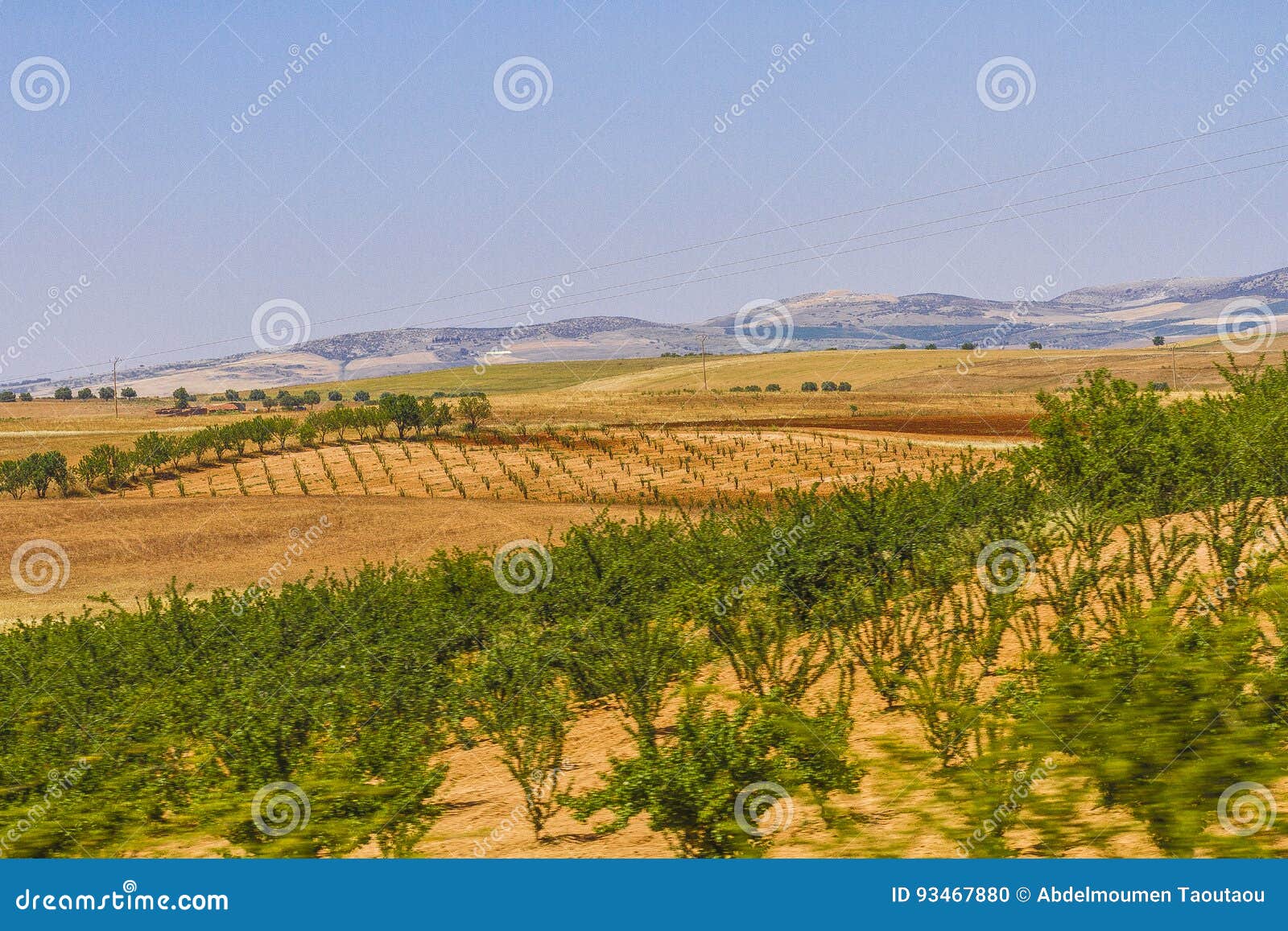 Farm stock photo. Image of algeria, agricultural, hard - 93467880