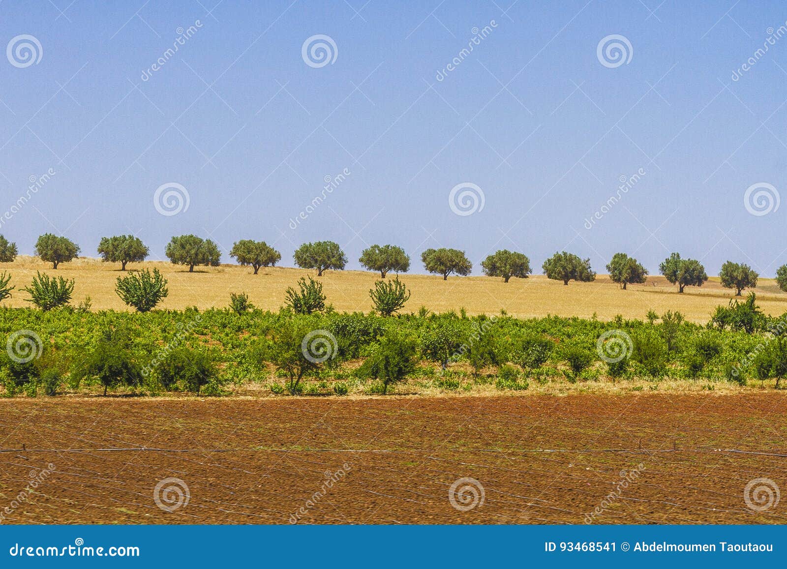 Farm stock image. Image of cultivate, agricultural, hard - 93468541